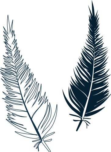 Feather Vector Images (over 260,000)