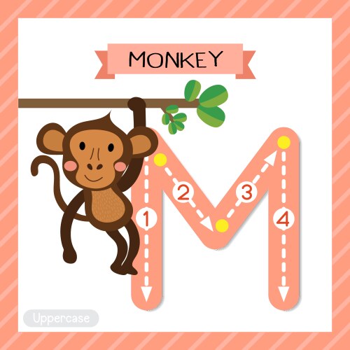 Letter a tracing arrow Royalty Free Vector Image