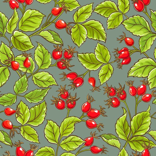 Wild rose pattern Royalty Free Vector Image - VectorStock