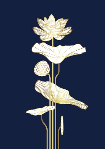 Luxury lotus Royalty Free Vector Image - VectorStock