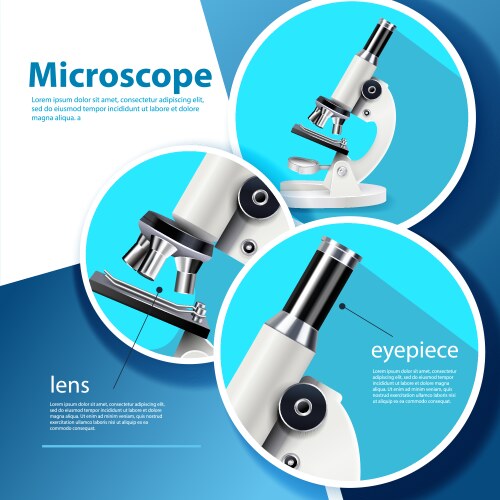 Electron Microscope Vector Images (over 5,100)