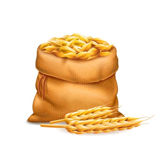 Wheat sack icon realistic style Royalty Free Vector Image