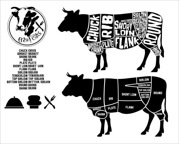 Beef Cuts Diagram – Cow Anatomy Royalty Free Vector