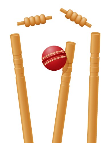 Cricket 02 Royalty Free Vector Image - VectorStock
