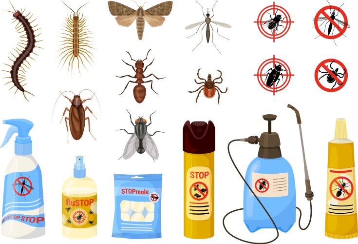 Human skin parasites housing pests insects Vector Image