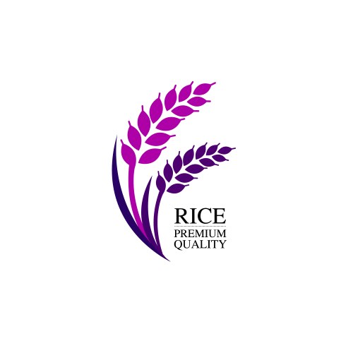 Rice2 Royalty Free Vector Image - VectorStock
