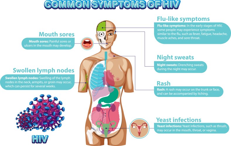 Informative poster of common symptoms hiv Vector Image