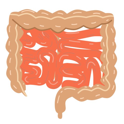 Functional Foods Vector Images (over 970)