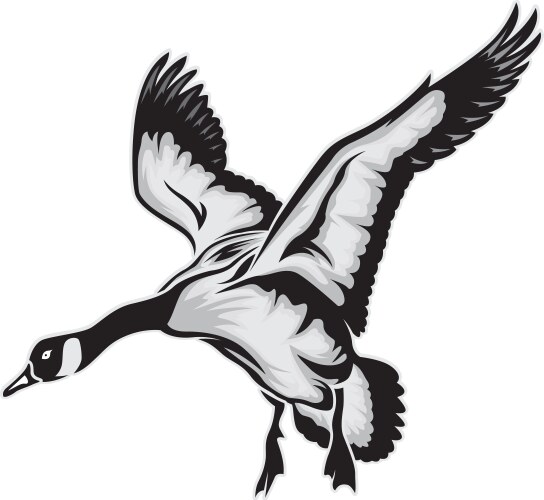 Goose Vector Images (over 22,000)
