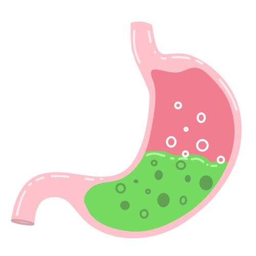 Stomach Vector Images (over 44,000)