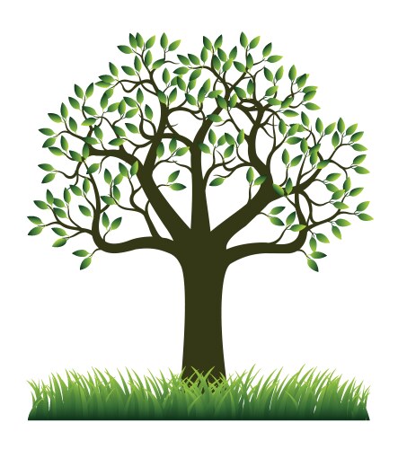 Green tree Royalty Free Vector Image - VectorStock