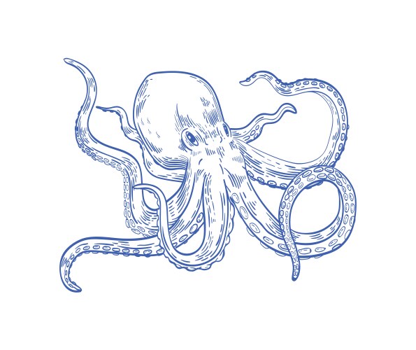 Outline Octopus Vector Images (over 6,300)
