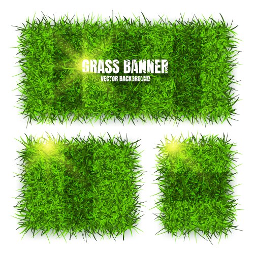 Green grass banners background field meadow Vector Image