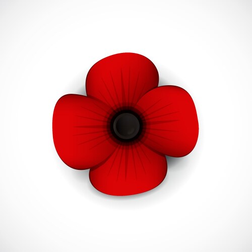 Poppy Vector Images (over 24,000)