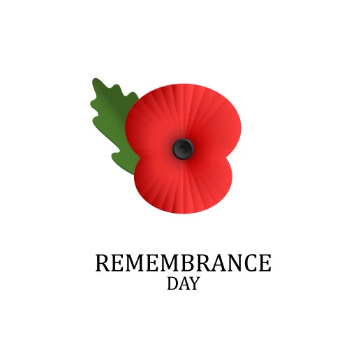 Poppy Vector Images (over 24,000)