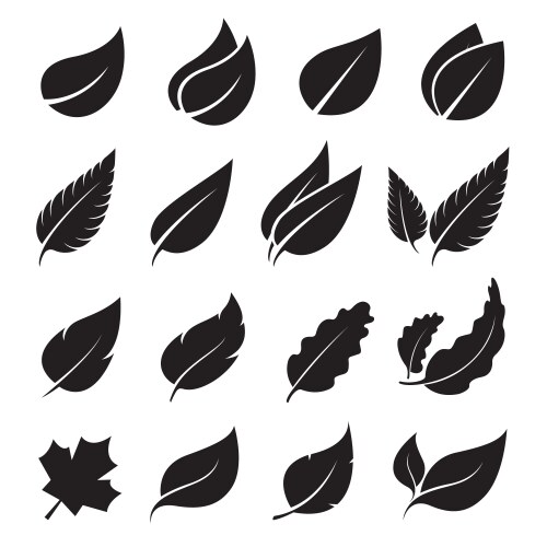 Set of black leaf icons Royalty Free Vector Image