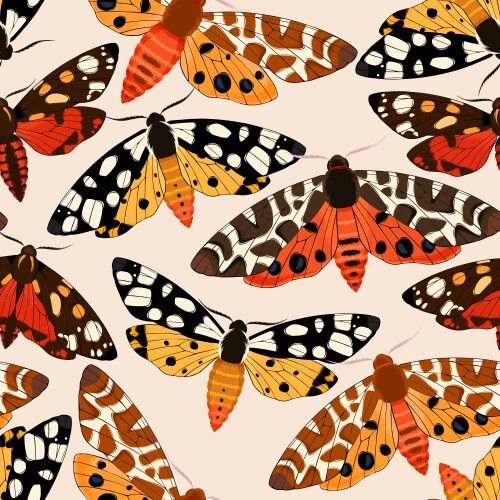 Seamless pattern with hand drawn moths Royalty Free Vector