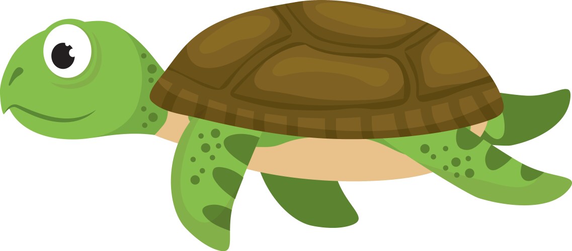 Colorful Turtle Vector Images (over 8,900)