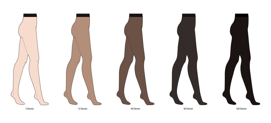 Set of different den denier tights pantyhose Vector Image