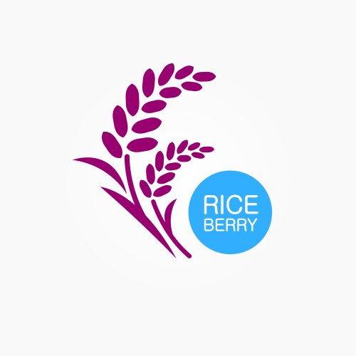 Rice2 Royalty Free Vector Image - VectorStock