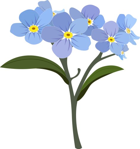 Forget Me not Vector Images (over 2,300)