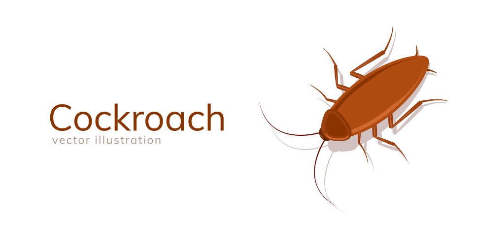 Cockroach Vector Images (over 8,600)