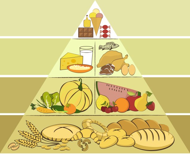 Healthy food pyramid infographic pictures Vector Image