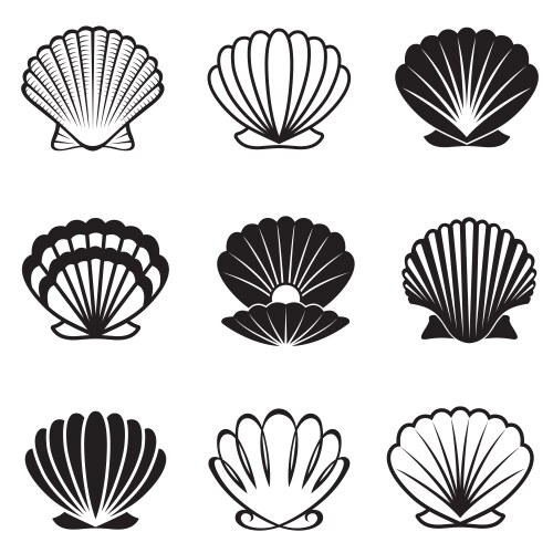 Seashell Royalty Free Vector Image - VectorStock