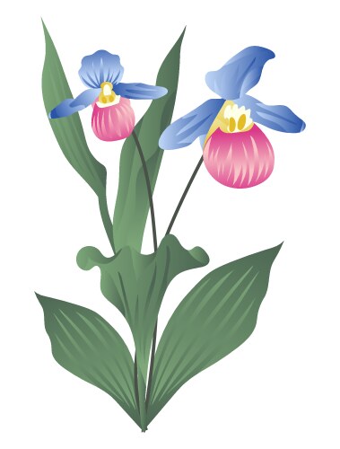 Iris Vector Images (over 22,000)