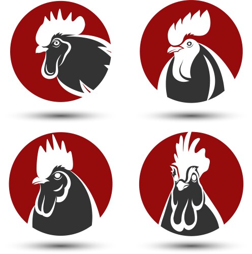 Chicken Vector Images (over 210,000)