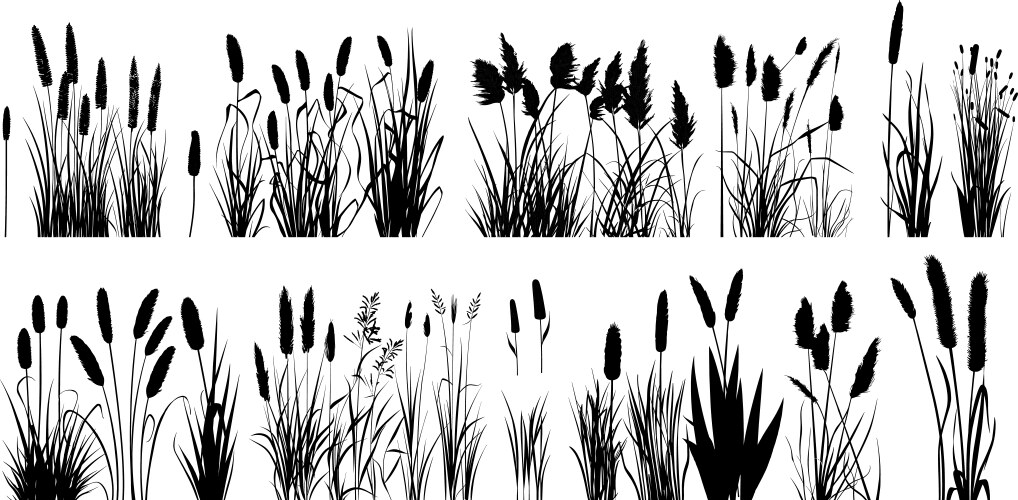 Meadow Black and White Vector Images (over 32,000)