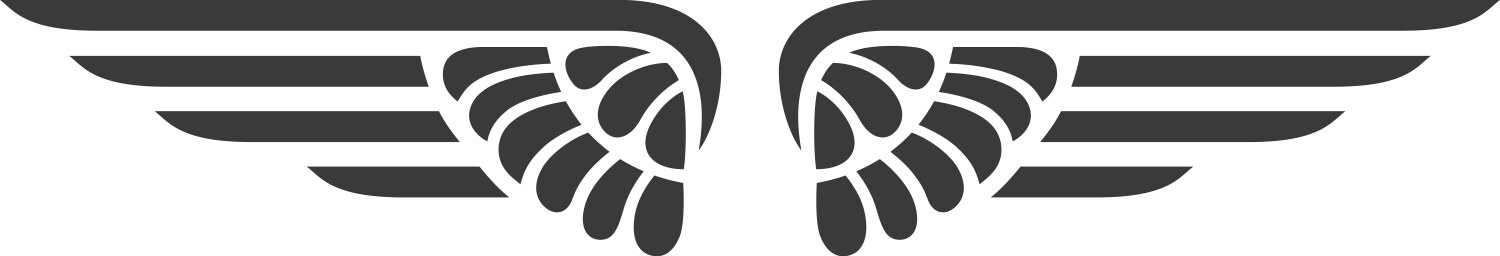 Asa Logo Vector Images (76)