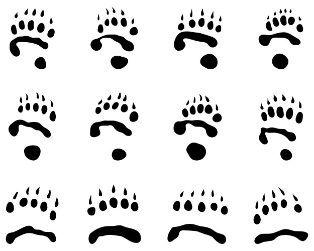 Panda Foot Vector Images (over 110)