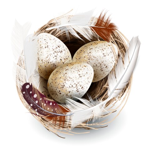 Nest Vector Images (over 33,000)