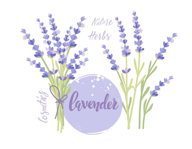 Lavender Vector Images (over 18,000)