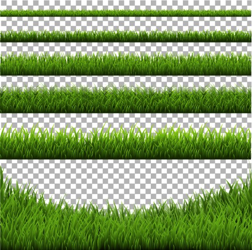 Grass Border Vector Images (over 17,000)