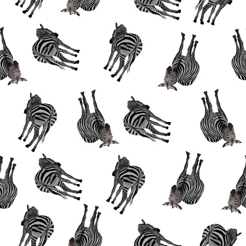 Zebra seamless pattern animal print Royalty Free Vector