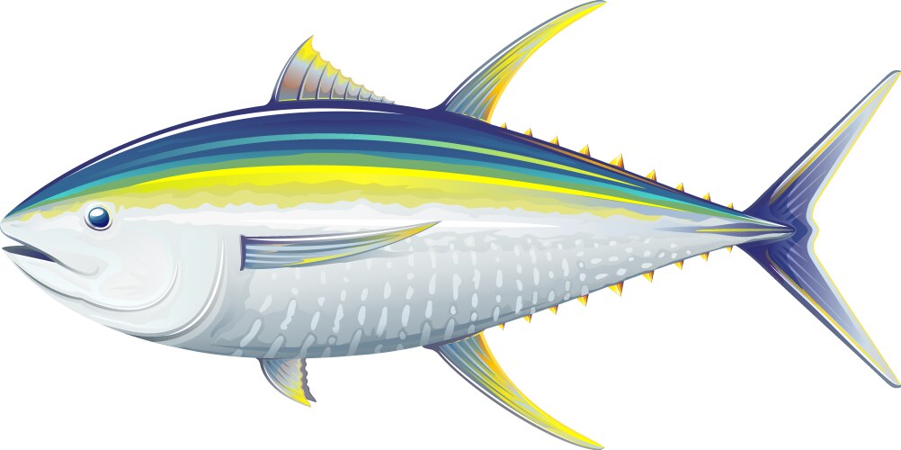 Tuna Vector Images (over 32,000)