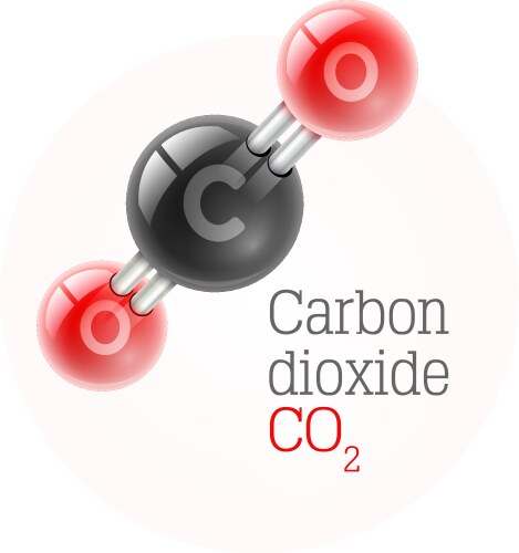 Molecular Structure Of Carbon Dioxide Carbon Dioxide Molecular Model