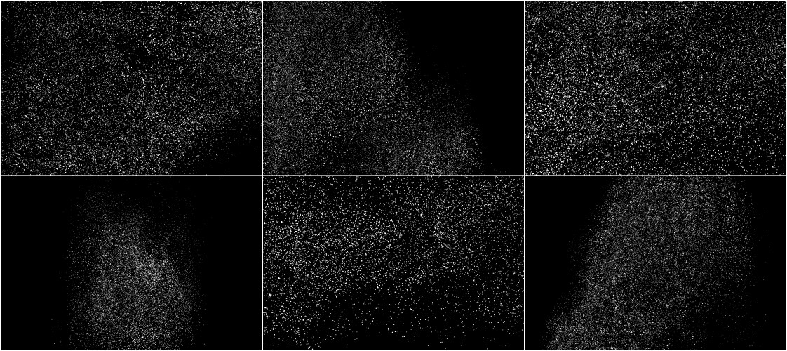 Noise Vector Images (over 100,000)