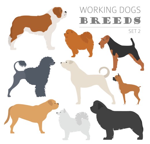 Working service and watching dogs collection Vector Image
