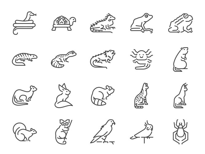 Pet icons set Royalty Free Vector Image - VectorStock