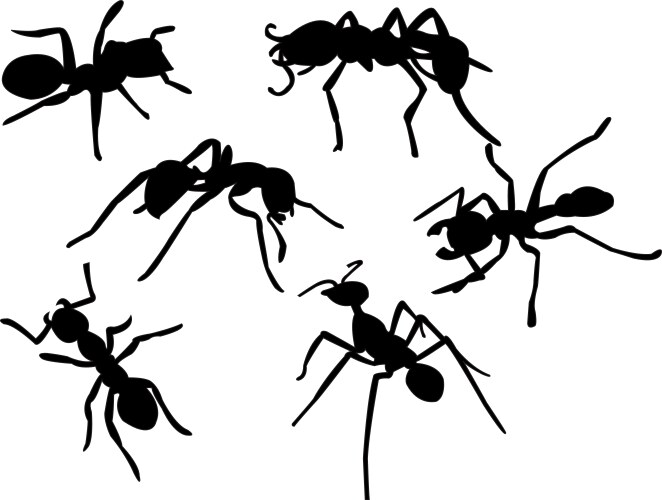 Ant Vector Images (over 15,000)