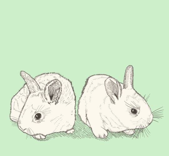 Rabbit Pencil Drawing Vector Images (over 710)