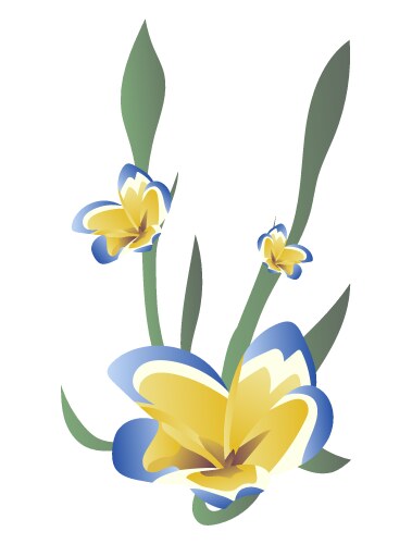 Iris Vector Images (over 22,000)