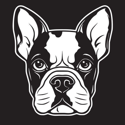 Boston terrier - minimalist and flat logo Vector Image
