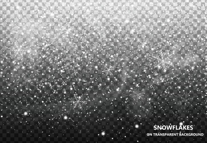Falling snow isolated on transparent background Vector Image