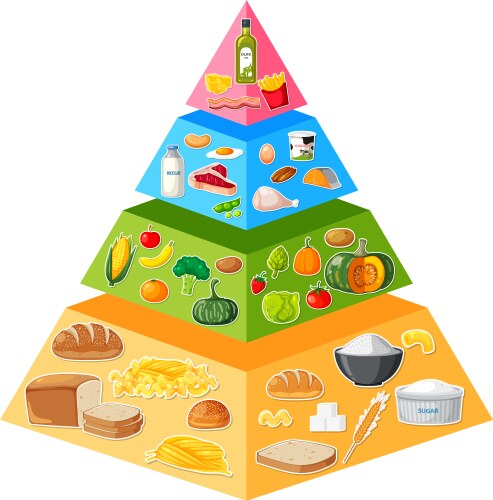 Cartoon food pyramid nutrition infographic Vector Image