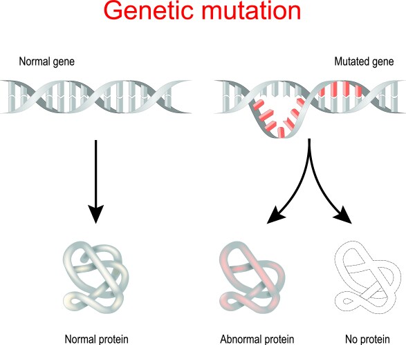 Genetics round with dna line Royalty Free Vector Image