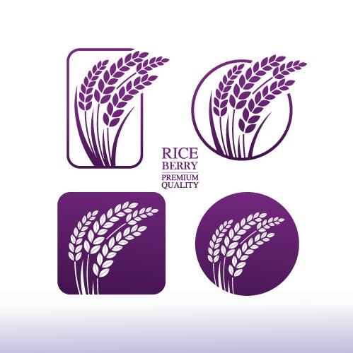 Rice2 Royalty Free Vector Image - VectorStock